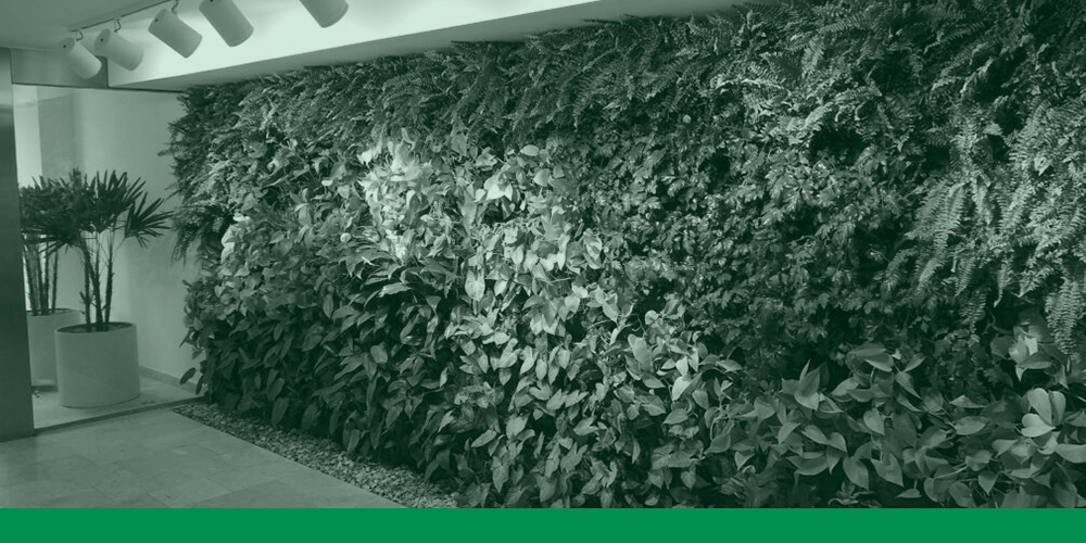 Home | CAMPUS VIRTUAL